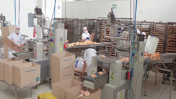 Radio viva Fenix | Planta proveedora de alimentos para el PAE de Cali ...