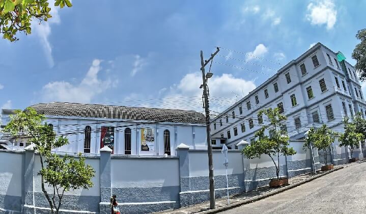 Radio viva Fenix | El tradicional colegio María Auxiliadora de Cali ...